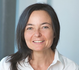 Intellectual Property guide 2013